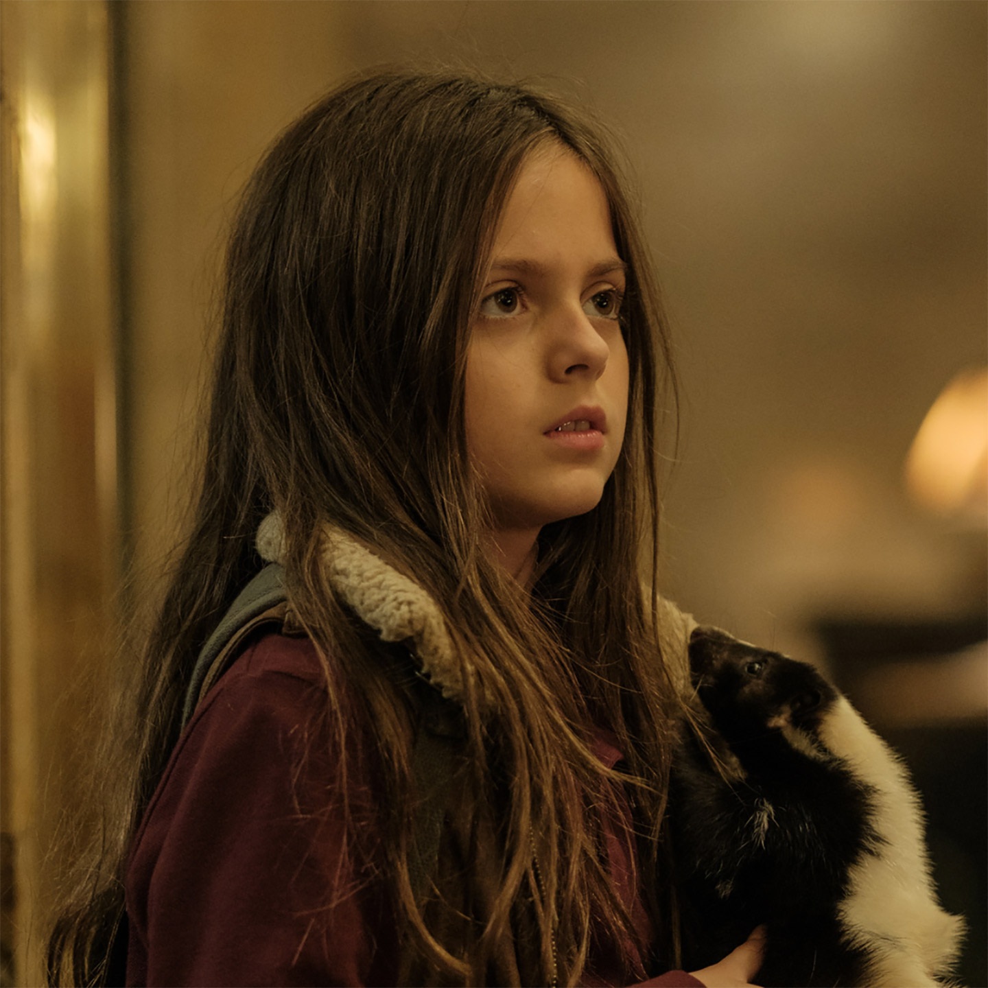 Mlle Bottine | Éléphant Films